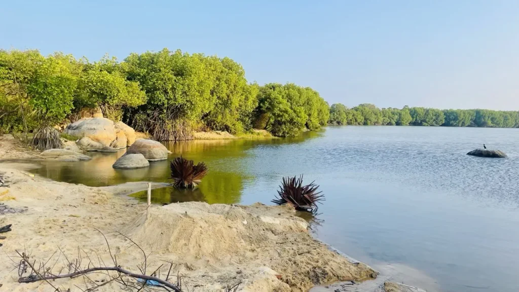 22 BEST Attractions In Arugam Bay 2025 - Top Places To Visit